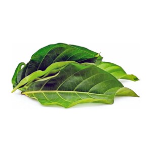 1000 Dried Noni Leaves Ahu Morinda Citrifolia Natural Organic Herbal ...