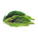 1000 Dried Noni Leaves Ahu Morinda Citrifolia Natural Organic Herbal ...