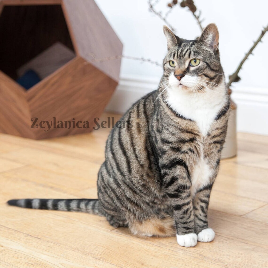 Modern Walnut Tree Veneered Mdf Cat Bed Cat Cave Premium - Etsy