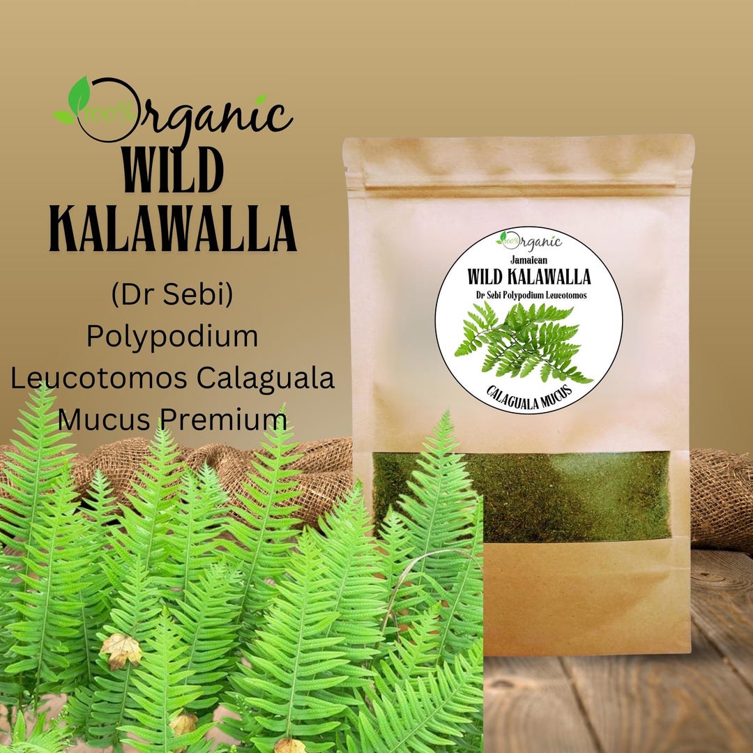 Organic Wildcrafted Kalawalla Powder | Jamaican Polypodium Leucotomos ...