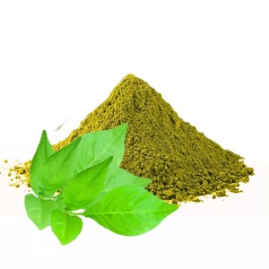 2000+ Indian Bael Leaves, Dried Bilva Leaves, Dried Bel Patra,dried ...