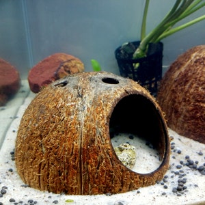 Large Aquarium Cave Coconut Shell Cave, Hide, Coconut Shell Dome, Pleco ...