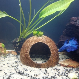 Large Aquarium Cave Coconut Shell Cave, Hide, Coconut Shell Dome, Pleco ...