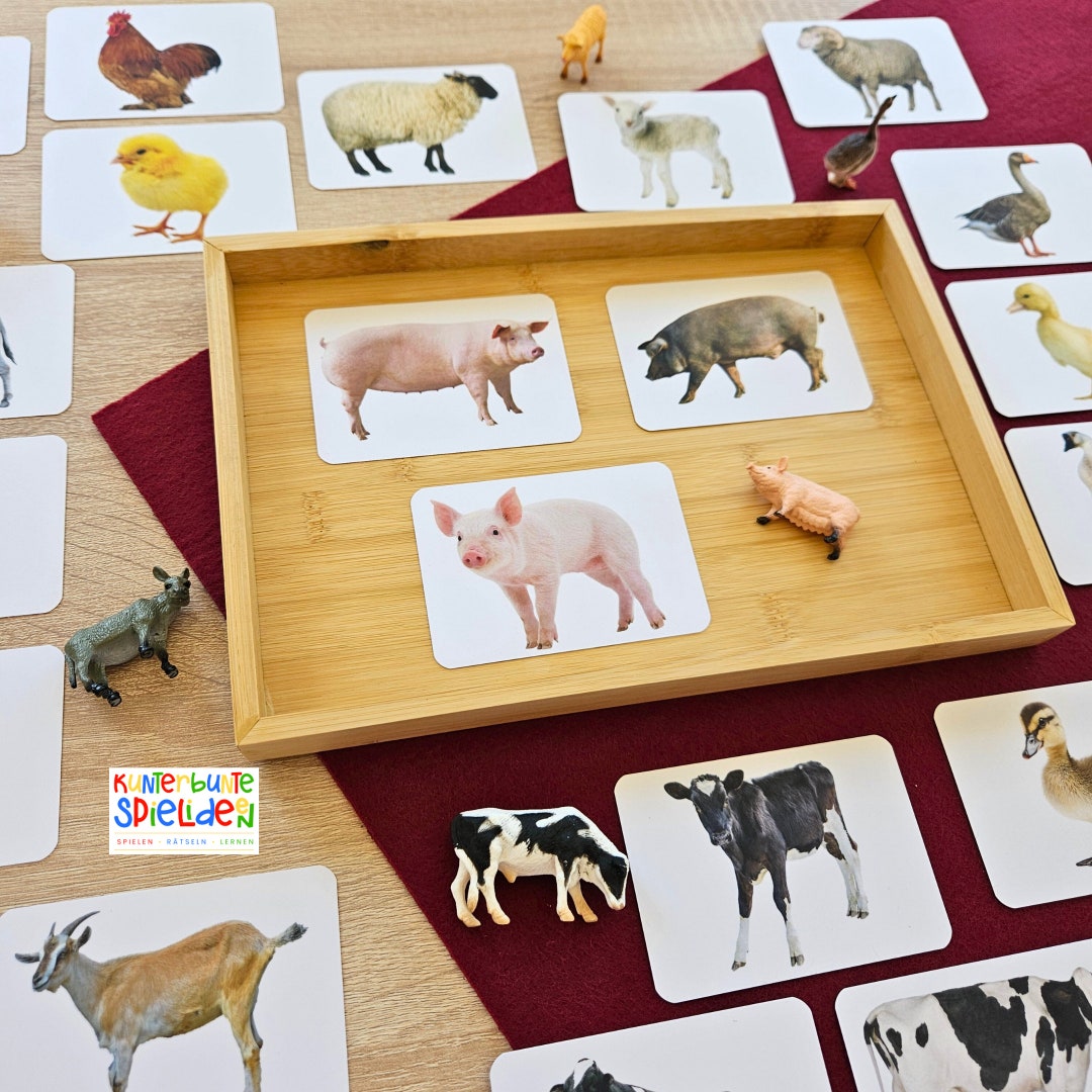 Animal Families Matching Game Memory Game – Gift for Animal Lovers ...