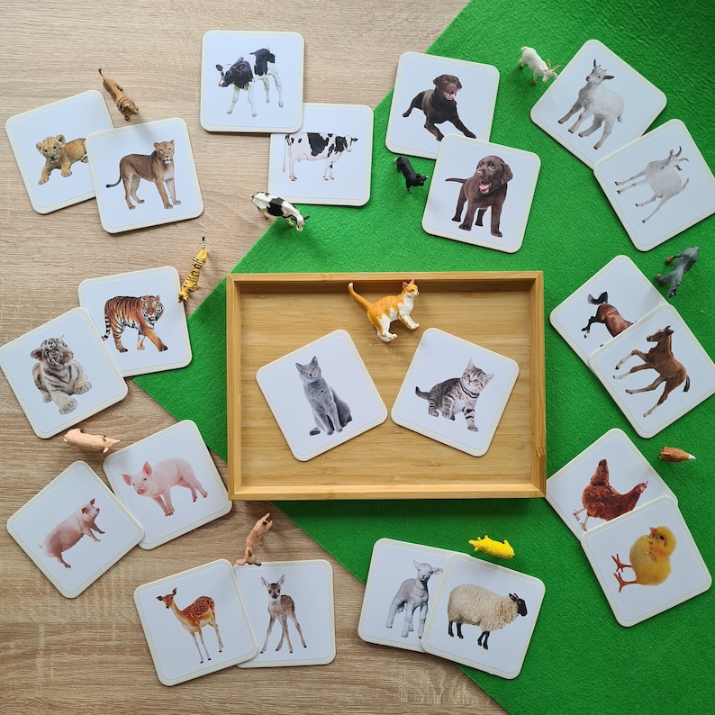 My First Matching Game - Recognize & Match Baby Animals and Their ...