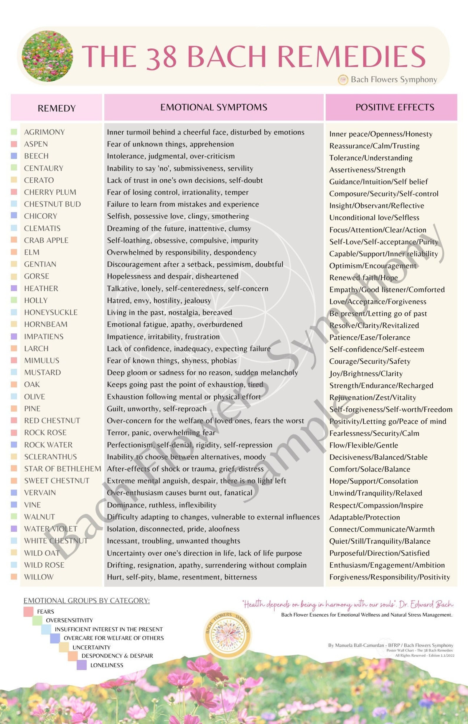 DIGITAL Bach Flowers Poster Wall Chart Digital Poster / Bach - Etsy