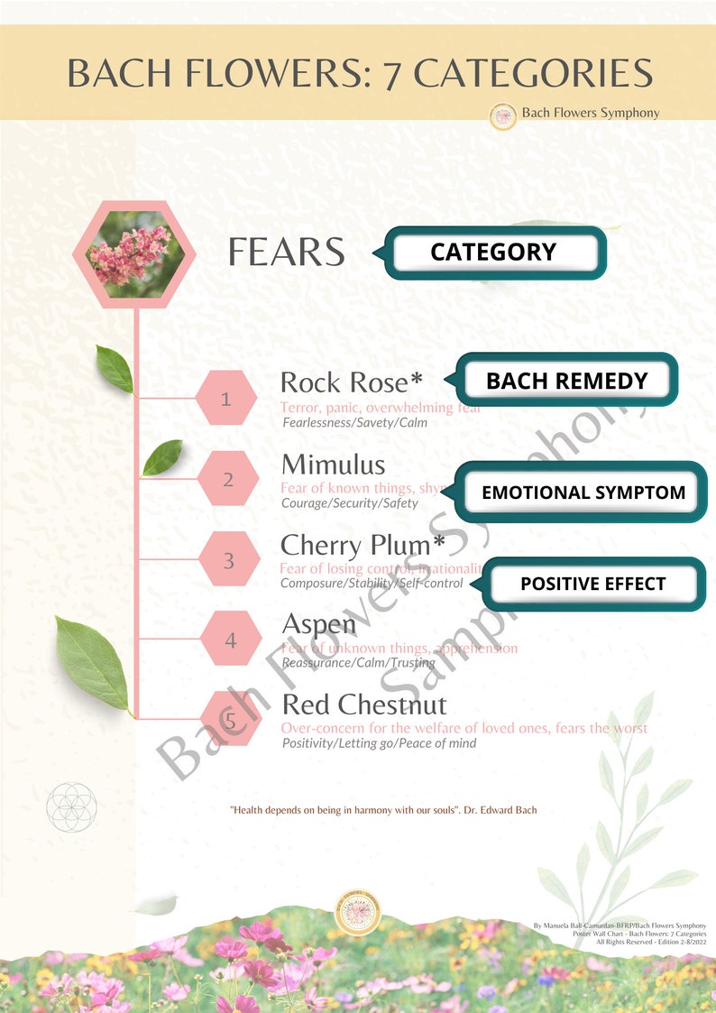 DIGITAL Bach Flower Poster: 7 Categories DIGITAL Poster / Wall Chart - Etsy