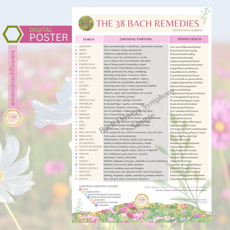 DIGITAL Bach Flowers Poster Wall Chart – Digital Poster / Bach Remedies ...