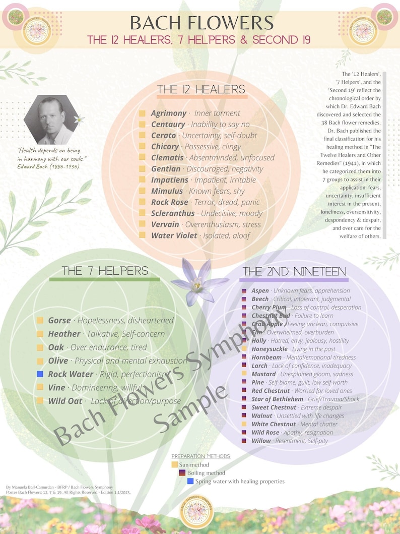 DIGITAL - Bach Flowers Remedies Poster: the 12 Healers, 7 Helpers and ...