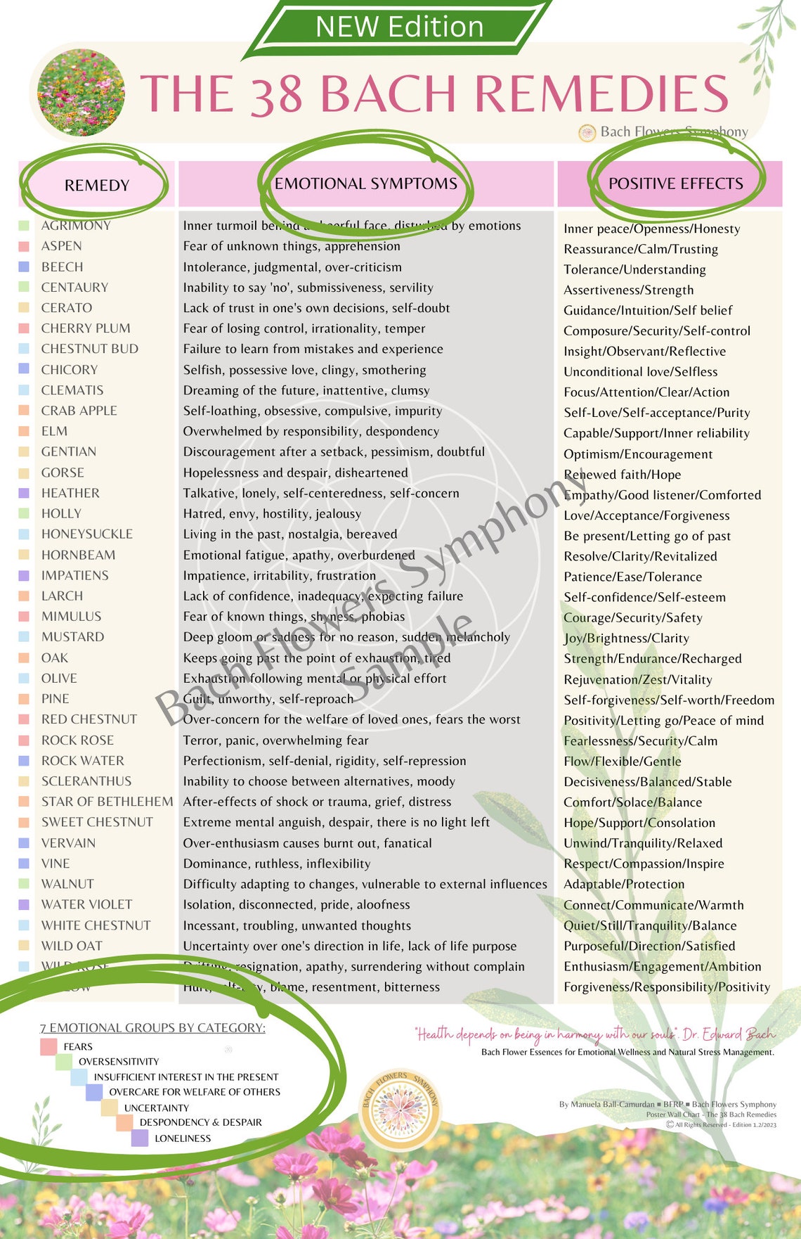 38 Bach Flower Remedies Chart Printable – Holistic Therapy Wall Art ...