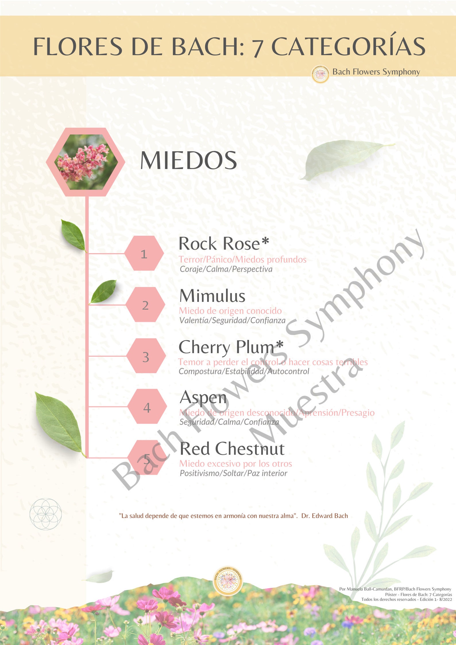 DIGITAL - Póster De Flores De Bach: Las 7 Categorías (8 Páginas ...