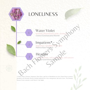 DIGITAL - Bach Flower Poster: 7 Categories - DIGITAL Poster / Wall ...