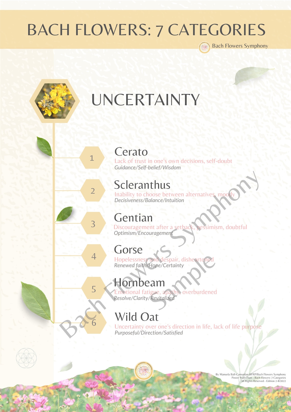 DIGITAL Bach Flower Poster: 7 Categories DIGITAL Poster / Wall Chart ...