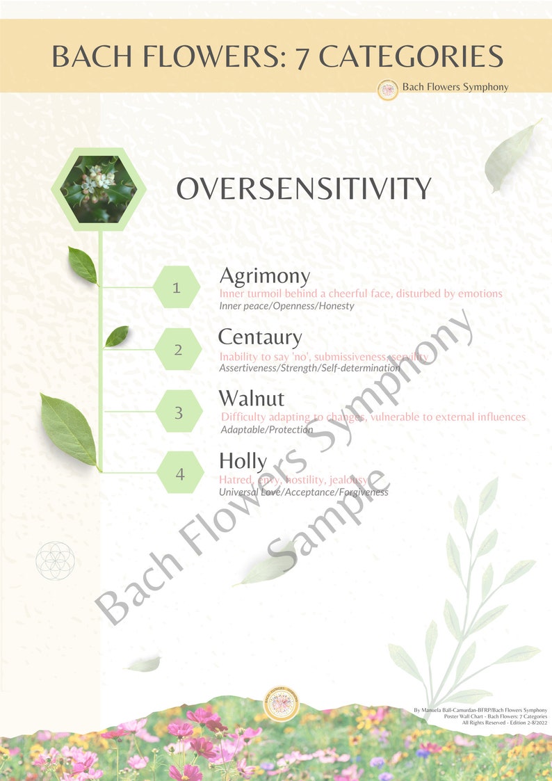 DIGITAL - Bach Flower Poster: 7 Categories - DIGITAL Poster / Wall ...