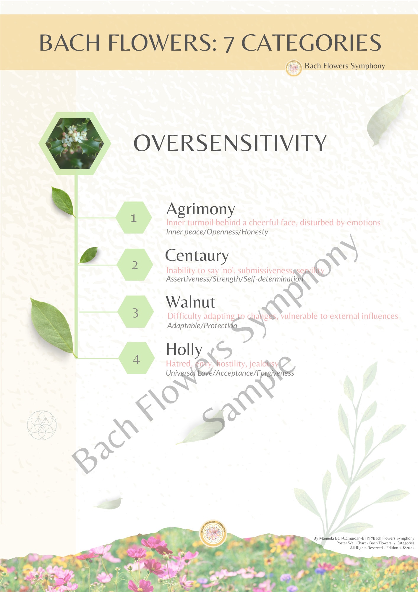 DIGITAL - Bach Flower Poster: 7 Categories - DIGITAL Poster / Wall ...