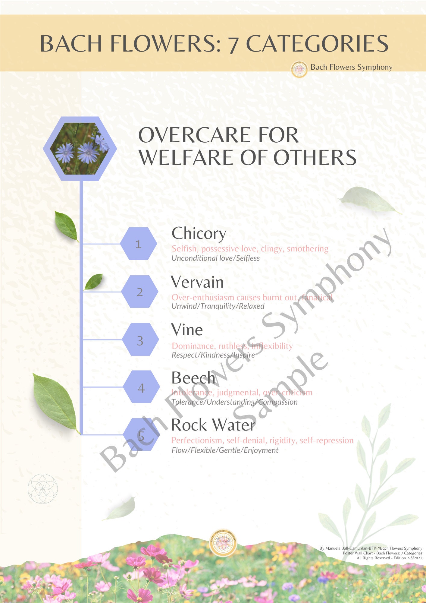 DIGITAL Bach Flower Poster: 7 Categories DIGITAL Poster / Wall Chart - Etsy