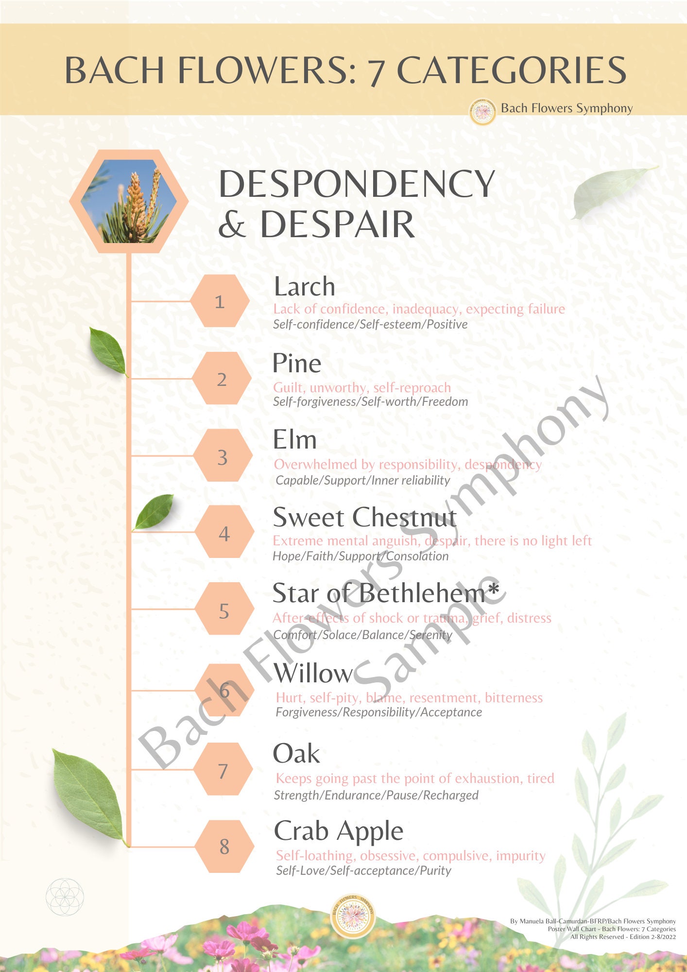 DIGITAL Bach Flower Poster: 7 Categories DIGITAL Poster / Wall Chart - Etsy
