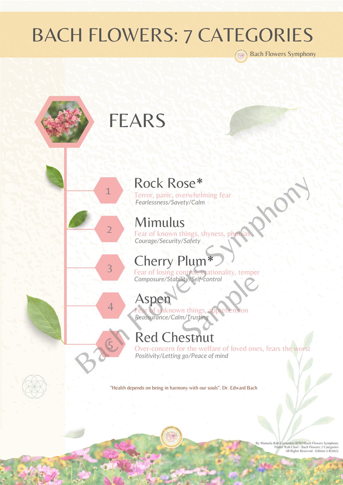 DIGITAL Bach Flower Poster: 7 Categories DIGITAL Poster / Wall Chart - Etsy