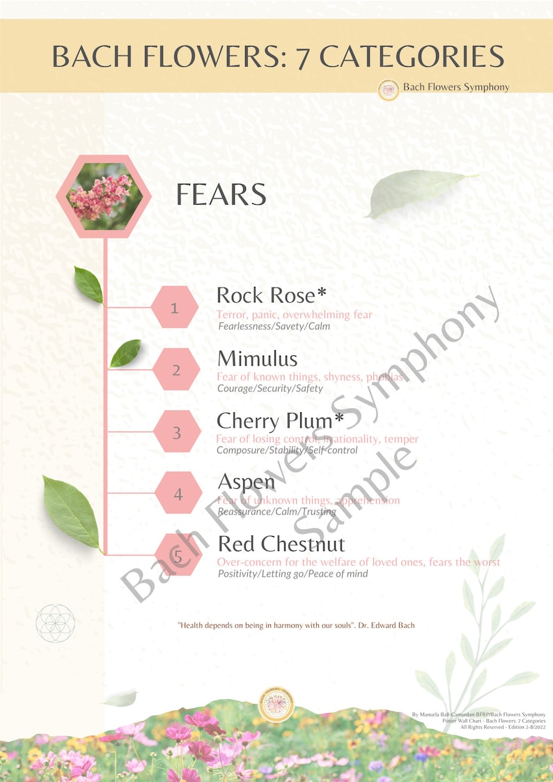 DIGITAL - Bach Flower Poster: 7 Categories - DIGITAL Poster / Wall ...