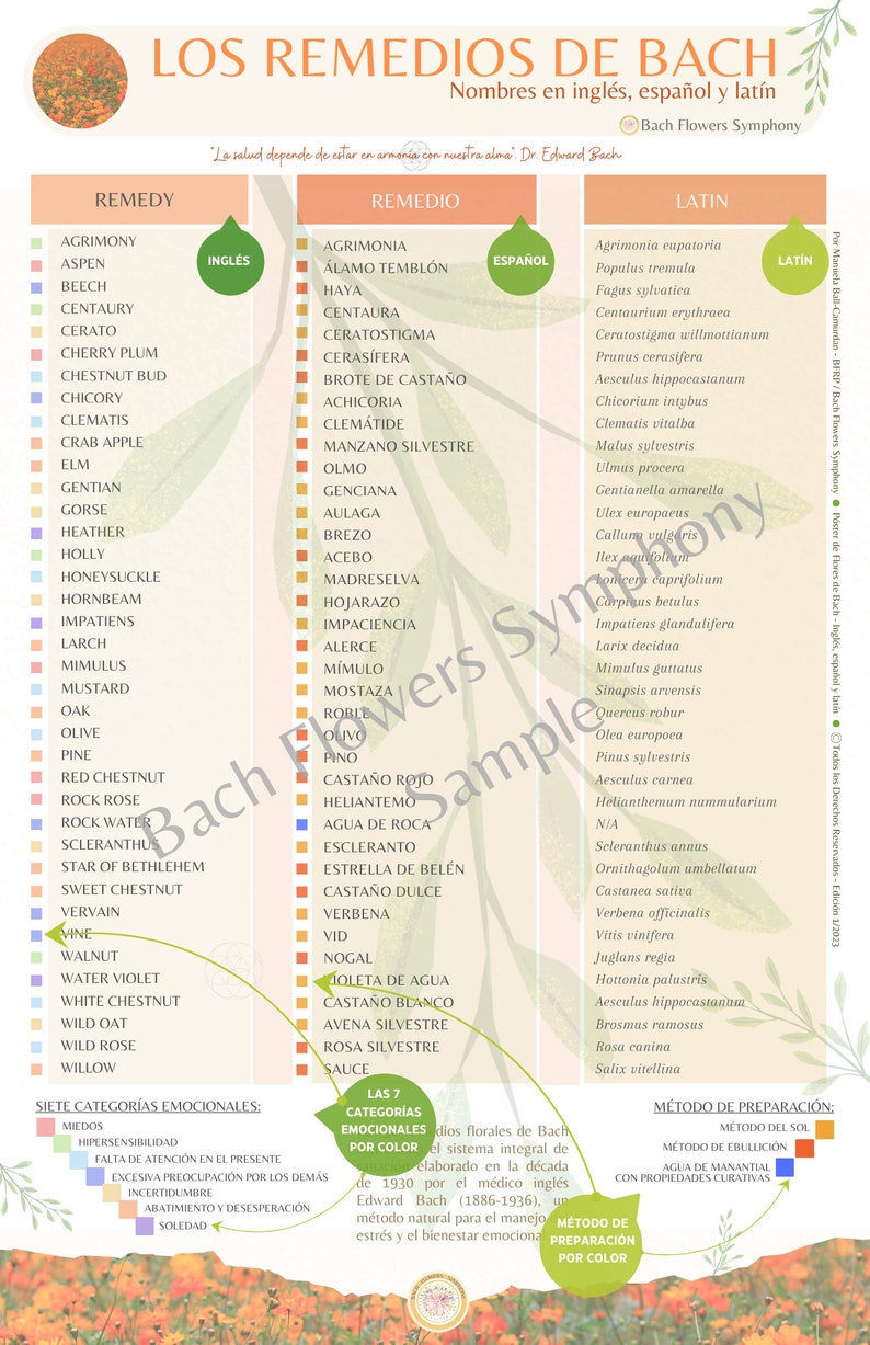 Póster 38 Flores De Bach Trilingüe – Español, Inglés Y Latín – Guía ...