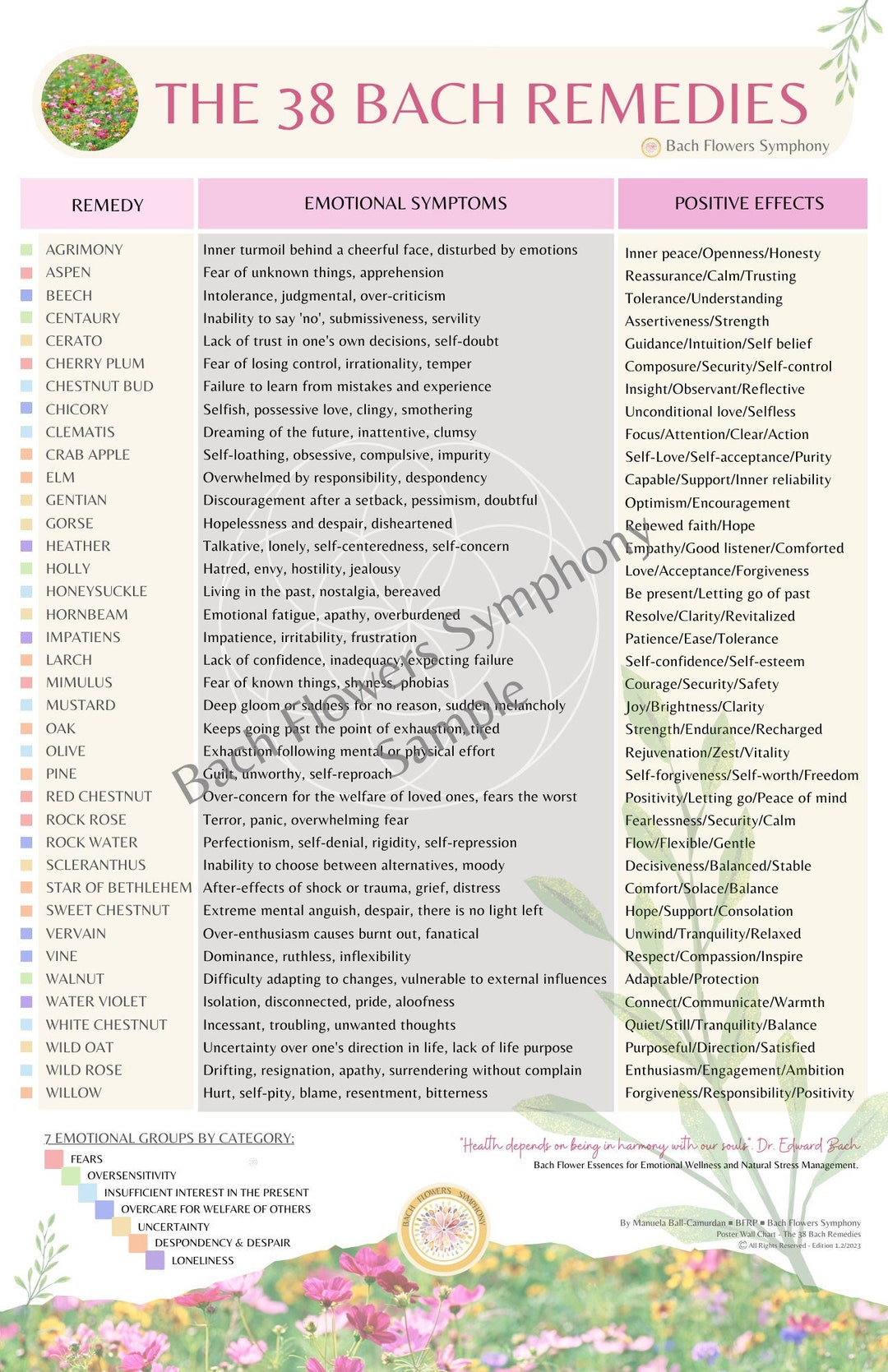 DIGITAL Bach Flowers Poster Wall Chart – Digital Poster / Bach Remedies ...