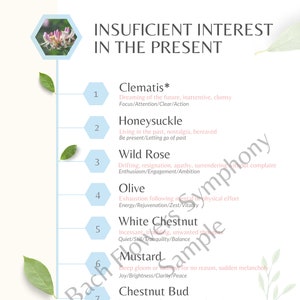 DIGITAL - Bach Flower Poster: 7 Categories - DIGITAL Poster / Wall ...