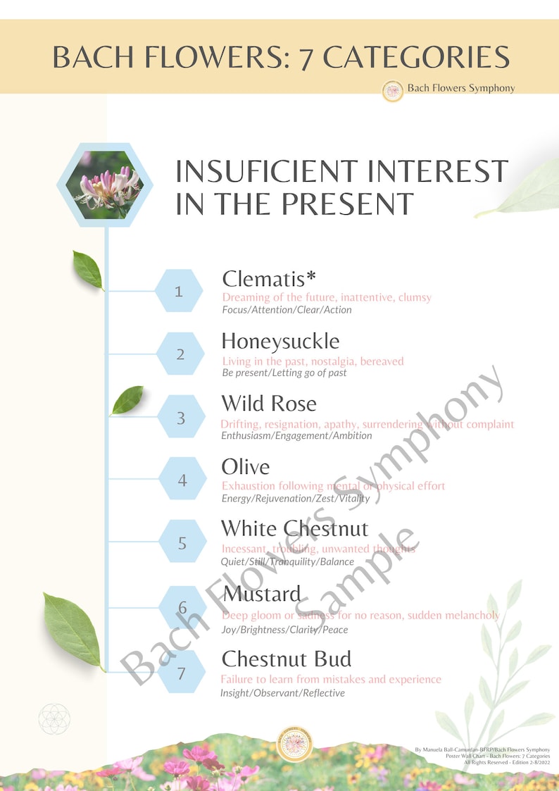 DIGITAL - Bach Flower Poster: 7 Categories - DIGITAL Poster / Wall ...