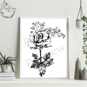 June Birth Flower Digital Art/ June Rose Digital Art/ Rose Line Drawing ...