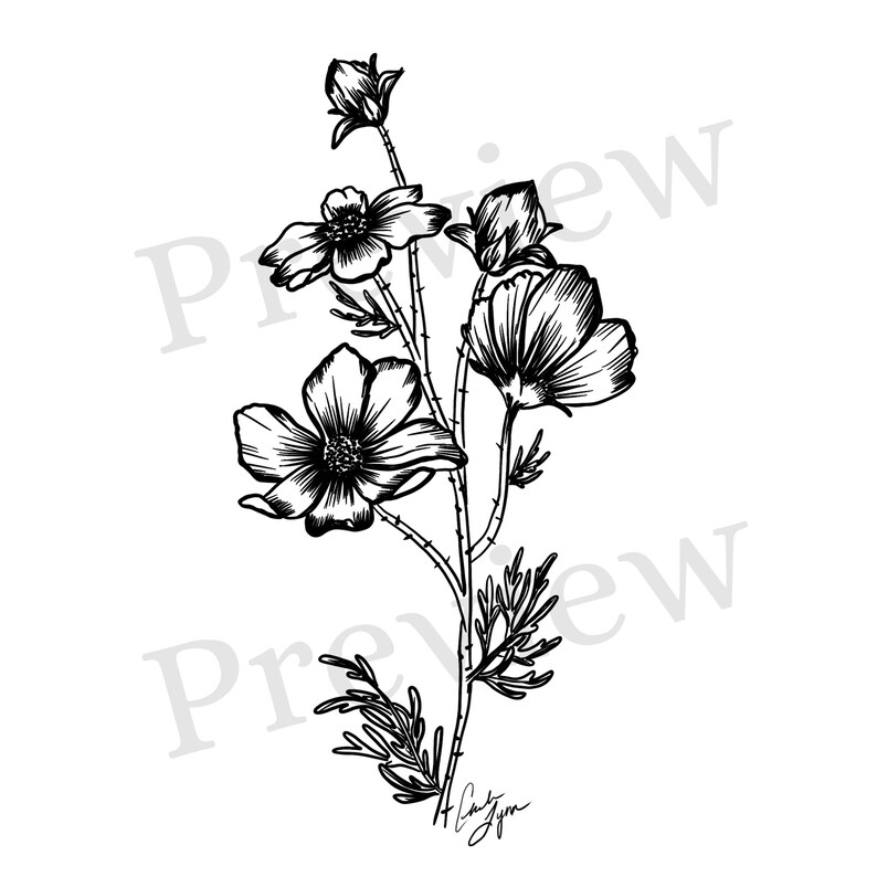 Cosmos October Birth Flower Digital Art / October Digital | Etsy