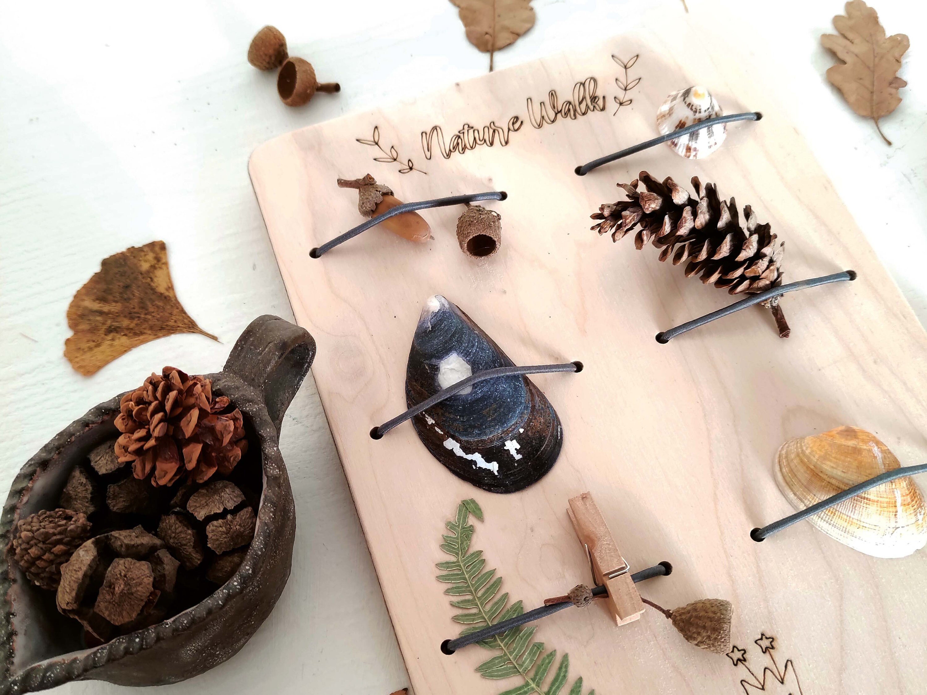 Nature Walk Discovery Board- Nature Crafting, Nature Explorers, Nature ...