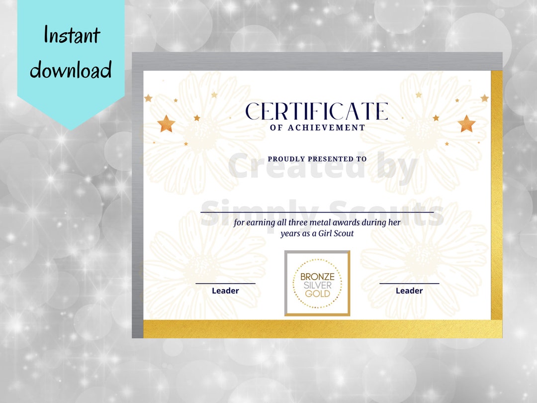 Girl Scout Triple Metal Certificate for Bronze Silver and Gold Award ...