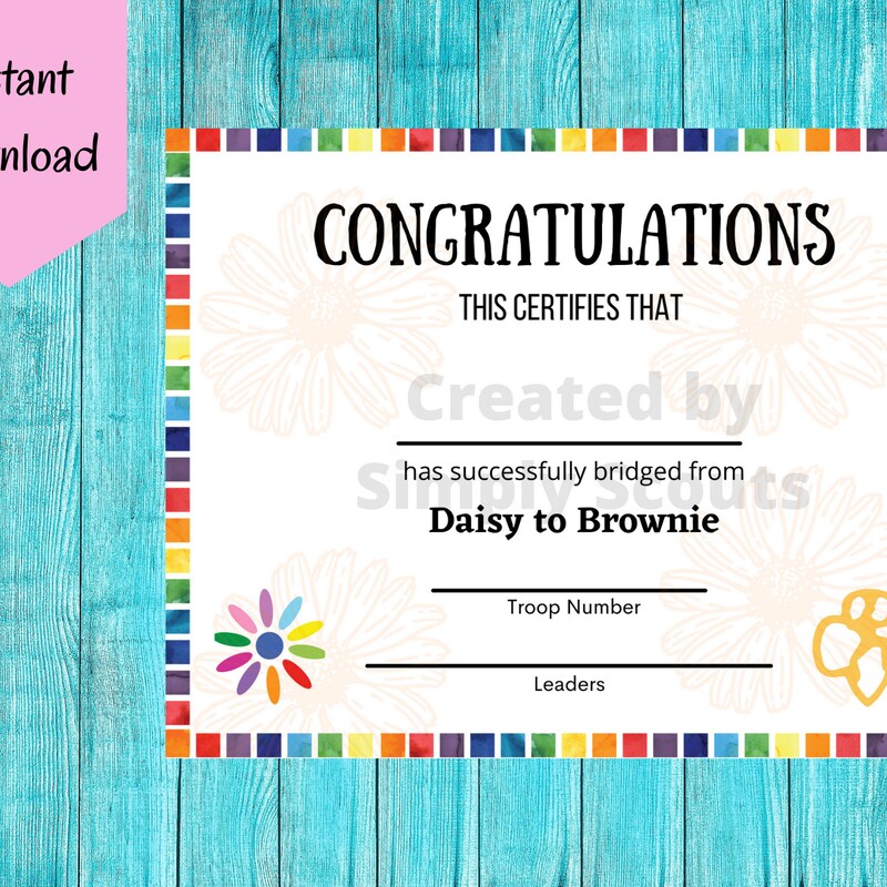 Girl Scout Bridging - Etsy