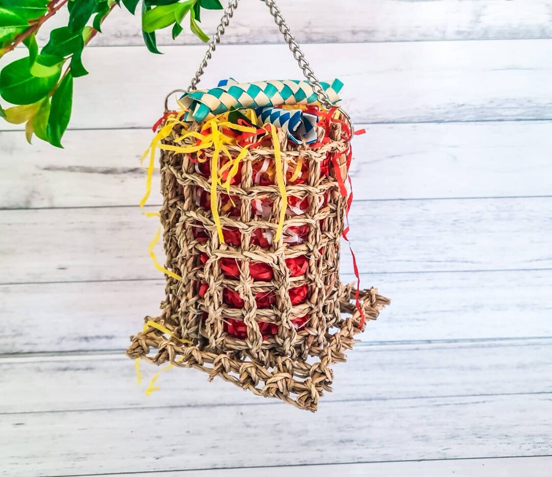 Colourful Foraging Bucket for Birds, Shredding and Chewing Toy for Pet ...