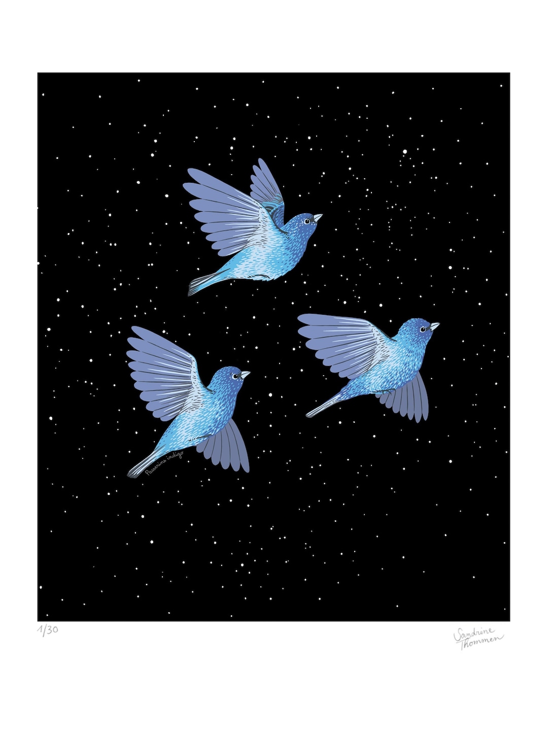 Indigo Buntings - Etsy