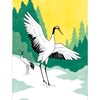 Saro 13x18 Cm - Etsy Canada