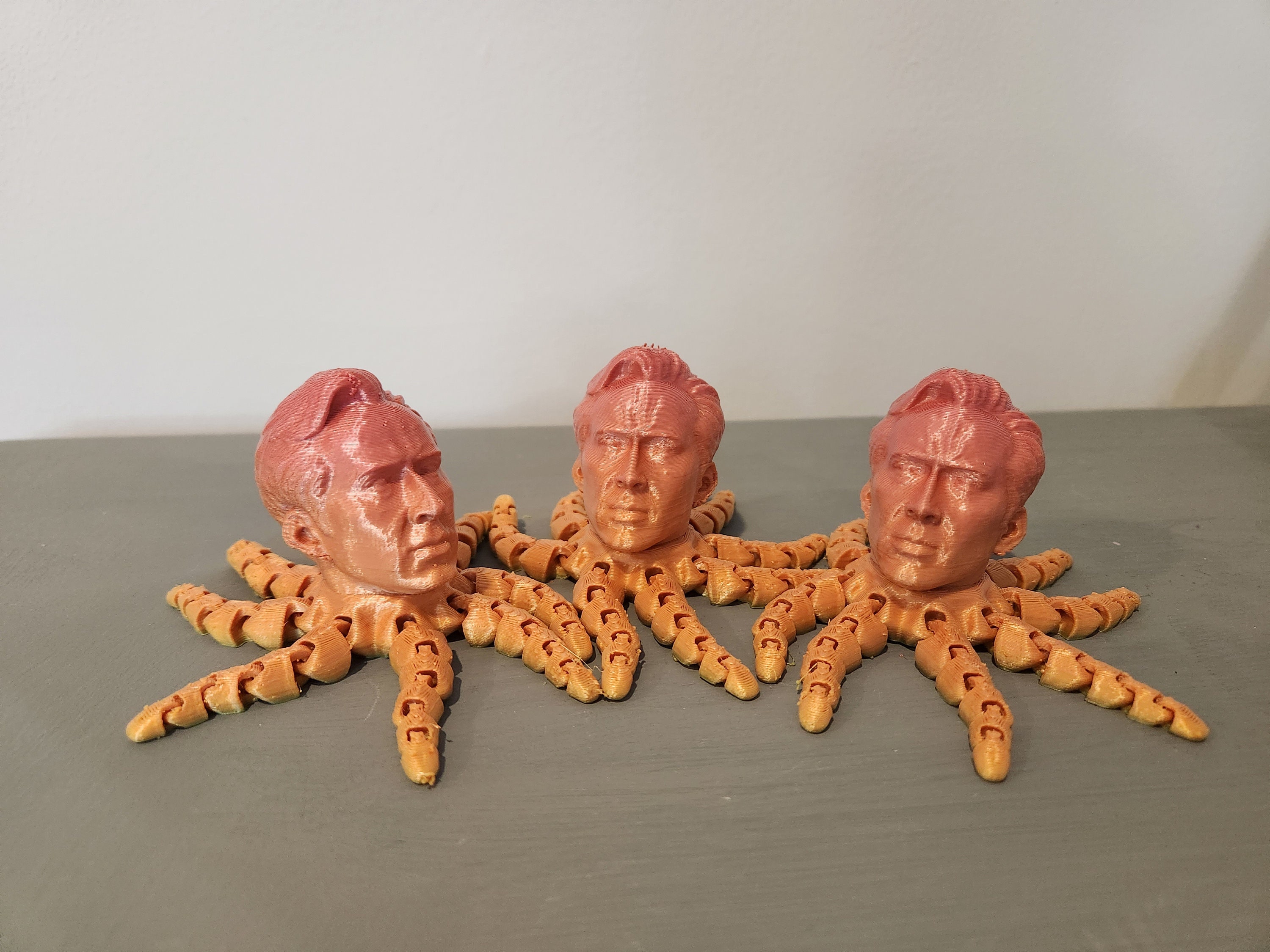 Nicolas Cage Octopus Fidget Toy/ Rocktopus/ Nic Cage - Etsy Canada
