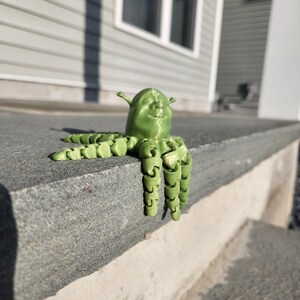 Shrek Fidget Octopus - Etsy