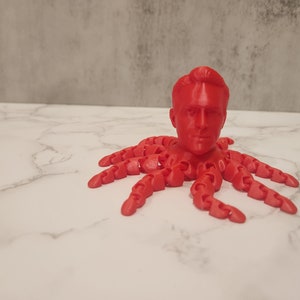 Ryan Reynolds Octopus Fidget Toy - Etsy