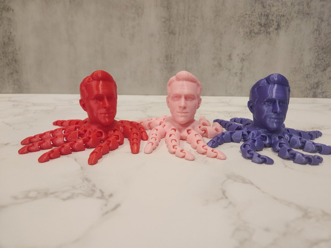 Ryan Reynolds Octopus Fidget Toy - Etsy