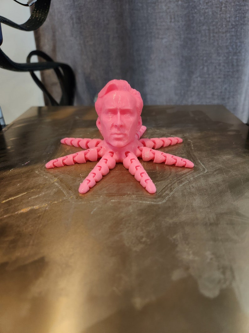 Nicolas Cage Octopus Fidget Toy/ Rocktopus/ Nic Cage - Etsy