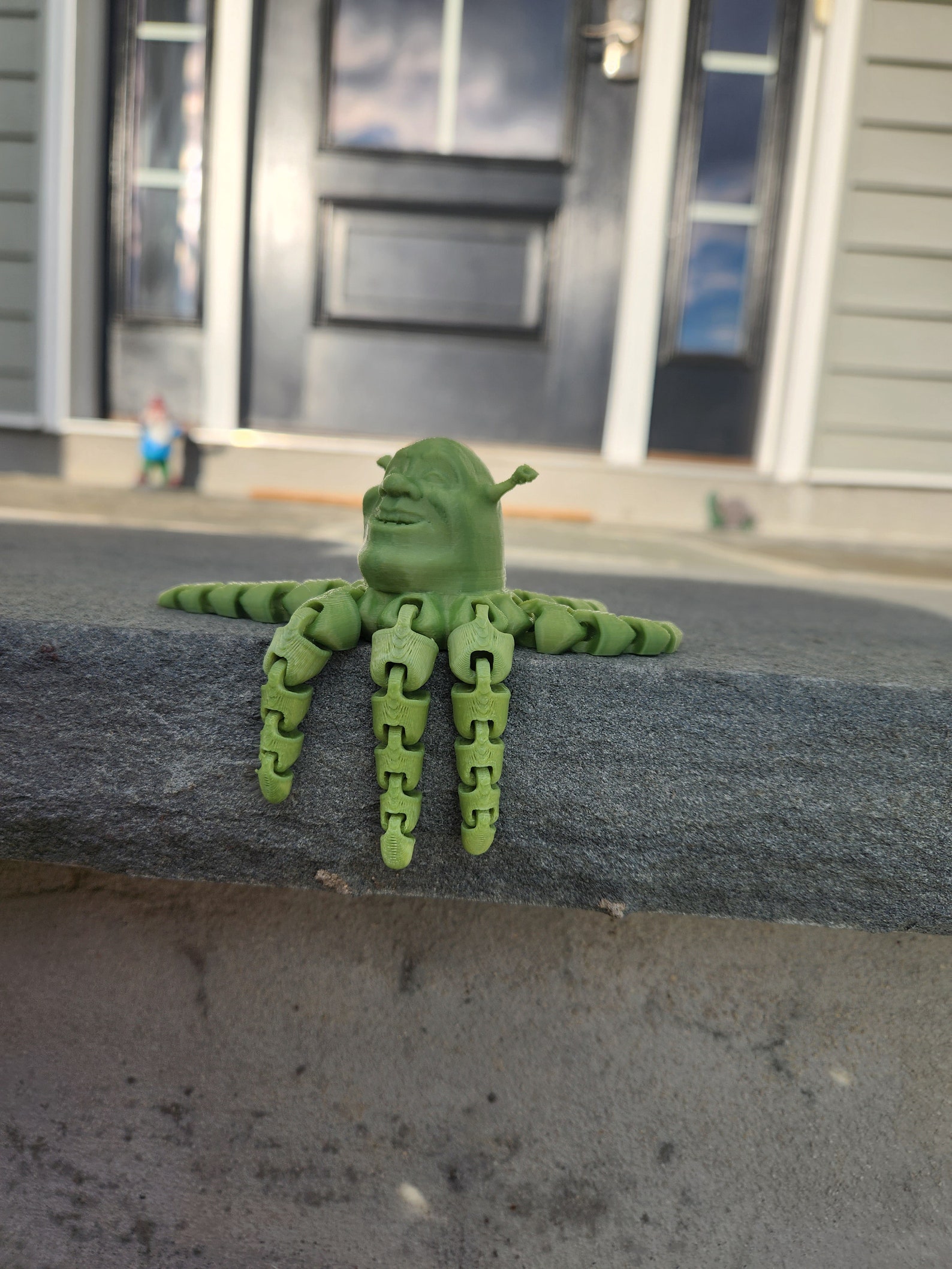 Shrek Fidget Octopus - Etsy