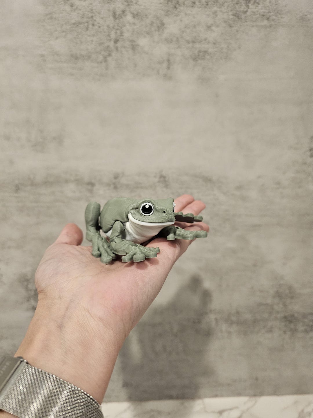 White's Tree Frog Articulated Desk Toy. MATT MIRE MAKES - Etsy