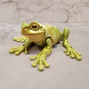 White's Tree Frog Articulated Desk Toy. MATT MIRE MAKES - Etsy