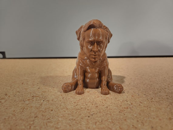Animales Con Cara De Nicolas Cage