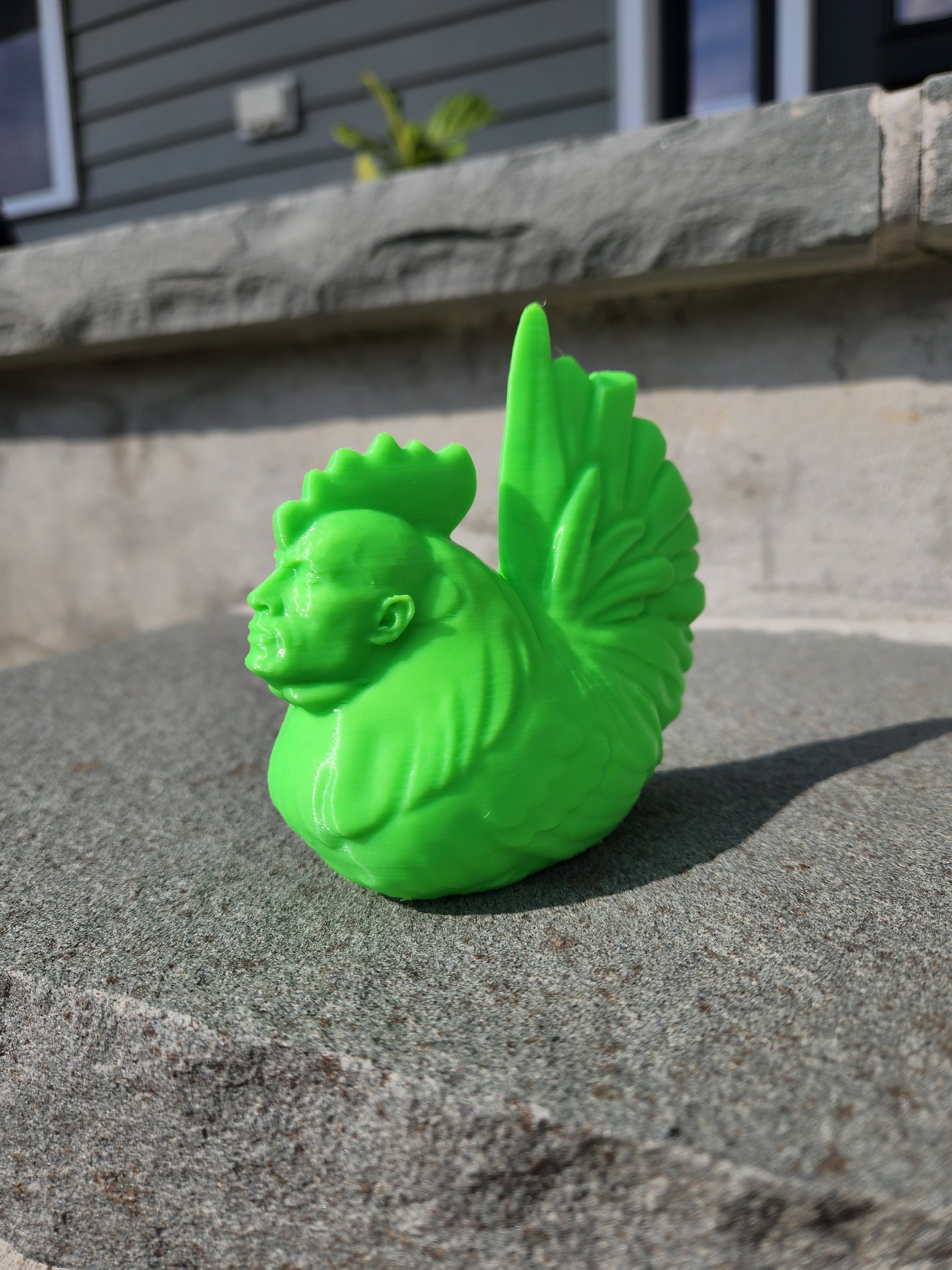 Dwayne the Cock Johnson / the Rock Rooster - Etsy
