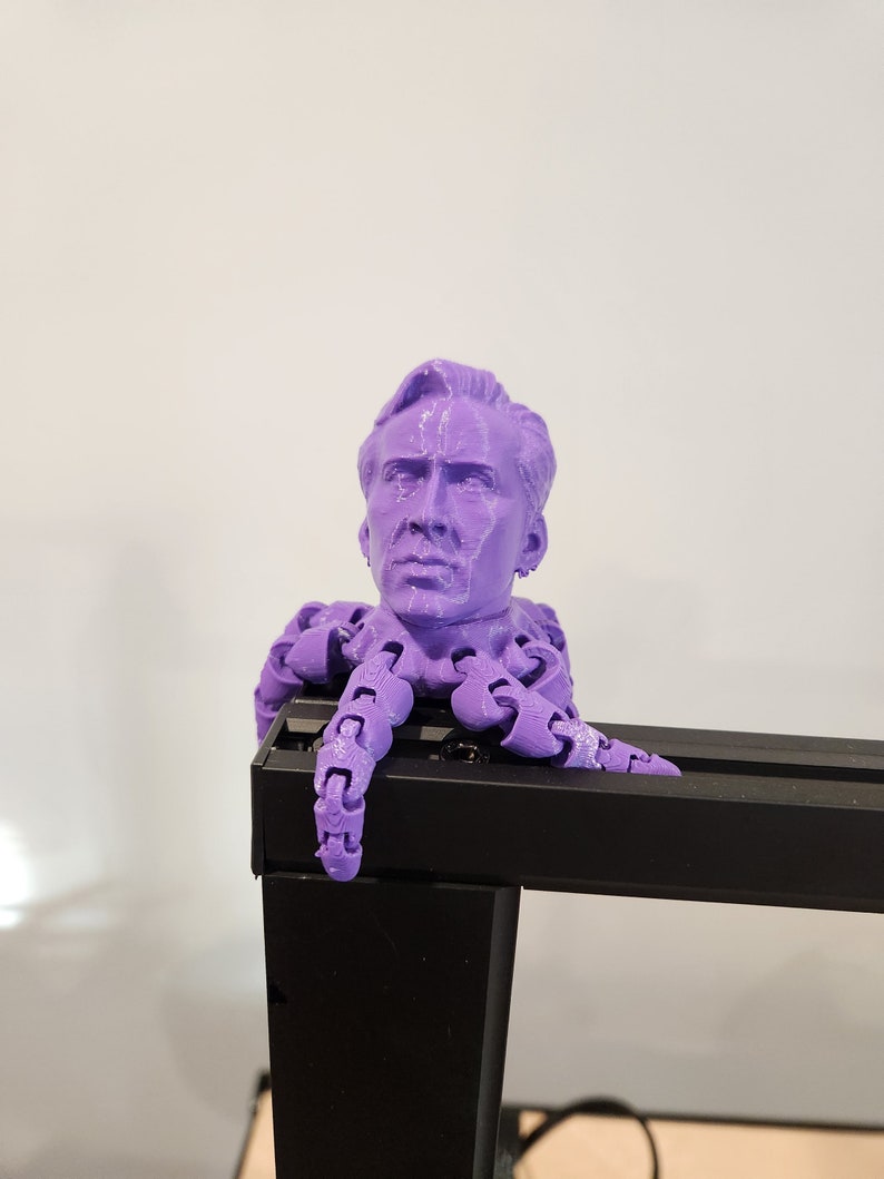 Nicolas Cage Octopus Fidget Toy/ Rocktopus/ Nic Cage - Etsy