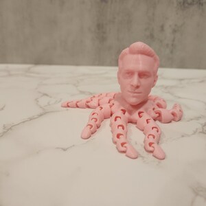 Ryan Reynolds Octopus Fidget Toy - Etsy