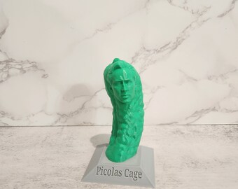 Picolas Cage 3D Print Resin - Etsy