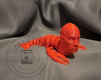 Lobster Rock Lobster 3d Printed Fidget Toy Rocktopus the Rock Dwayne ...