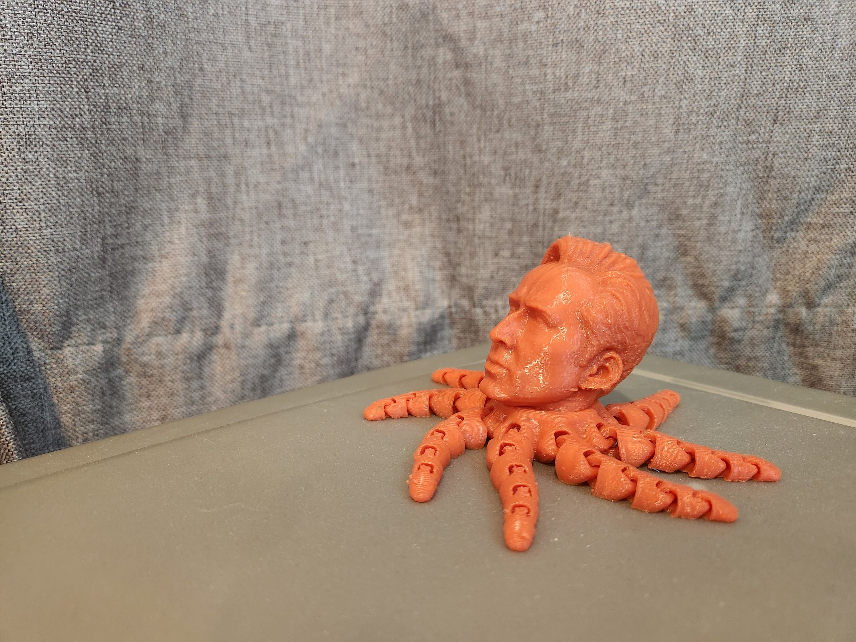 Nicolas Cage Octopus Fidget Toy/ Rocktopus/ Nic Cage - Etsy UK